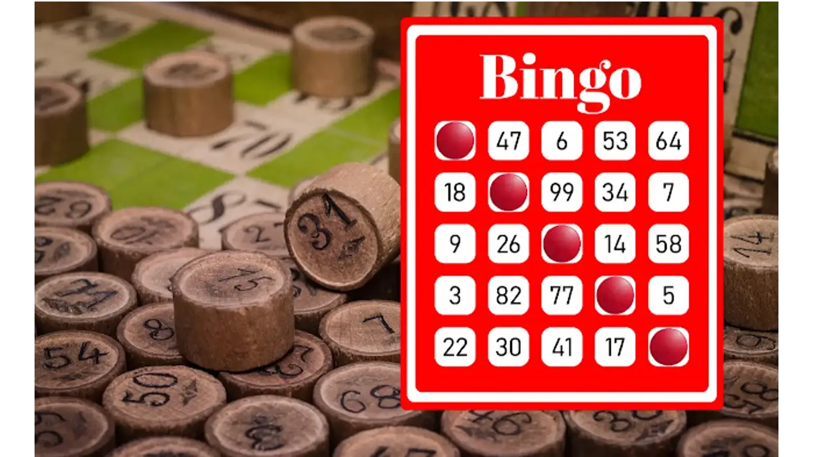 How to Play Bingo? Bingo Guides – Buspins